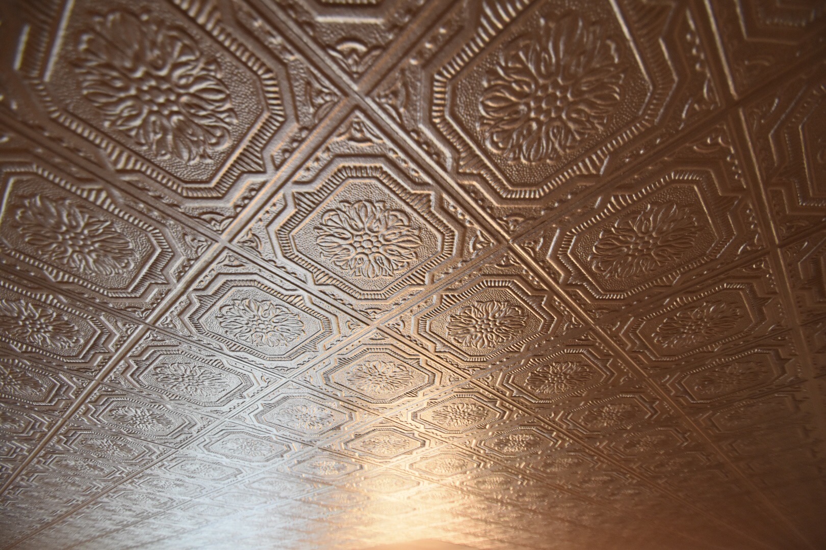 Library Ceiling – 26 – Vivacious Victorian